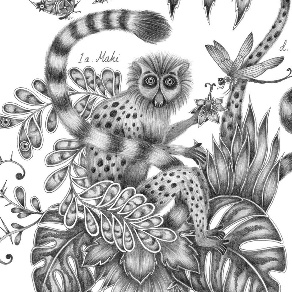 Emma J Shipley Maki Mococo Fine Art Print